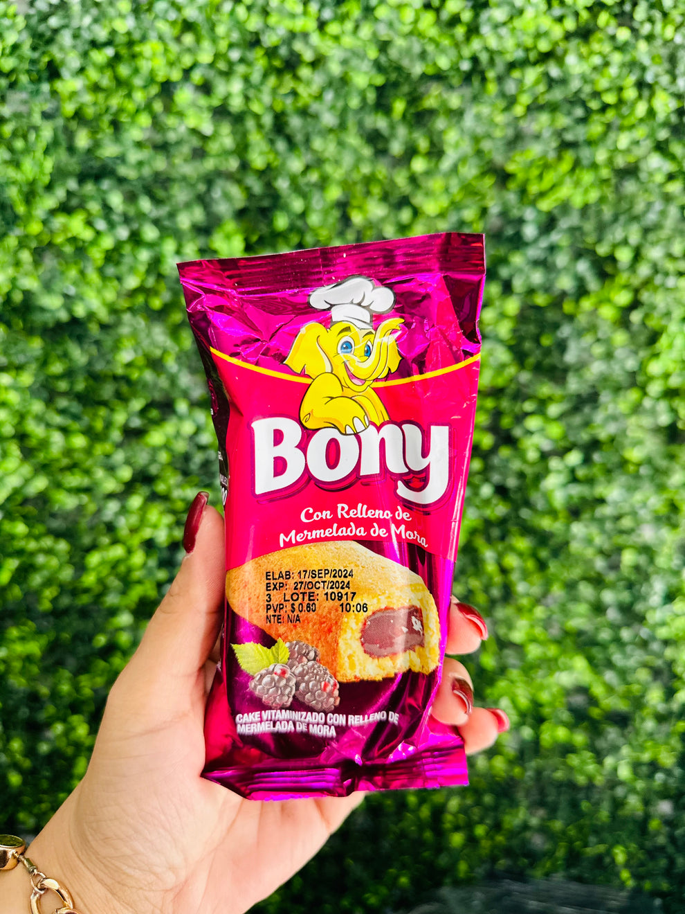 INACAKE - PASTELILLOS – RUTAS EXPRESS